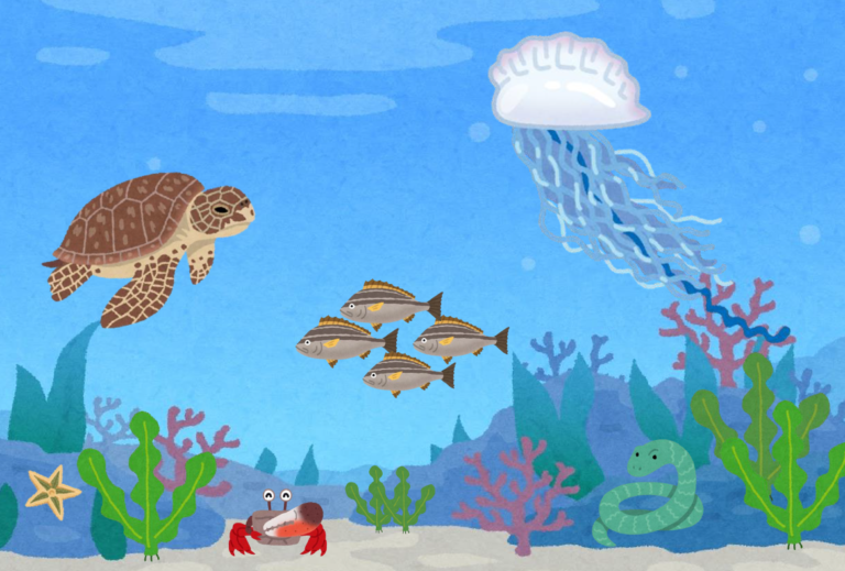 Sealife Games - Japan Foundation, Sydney